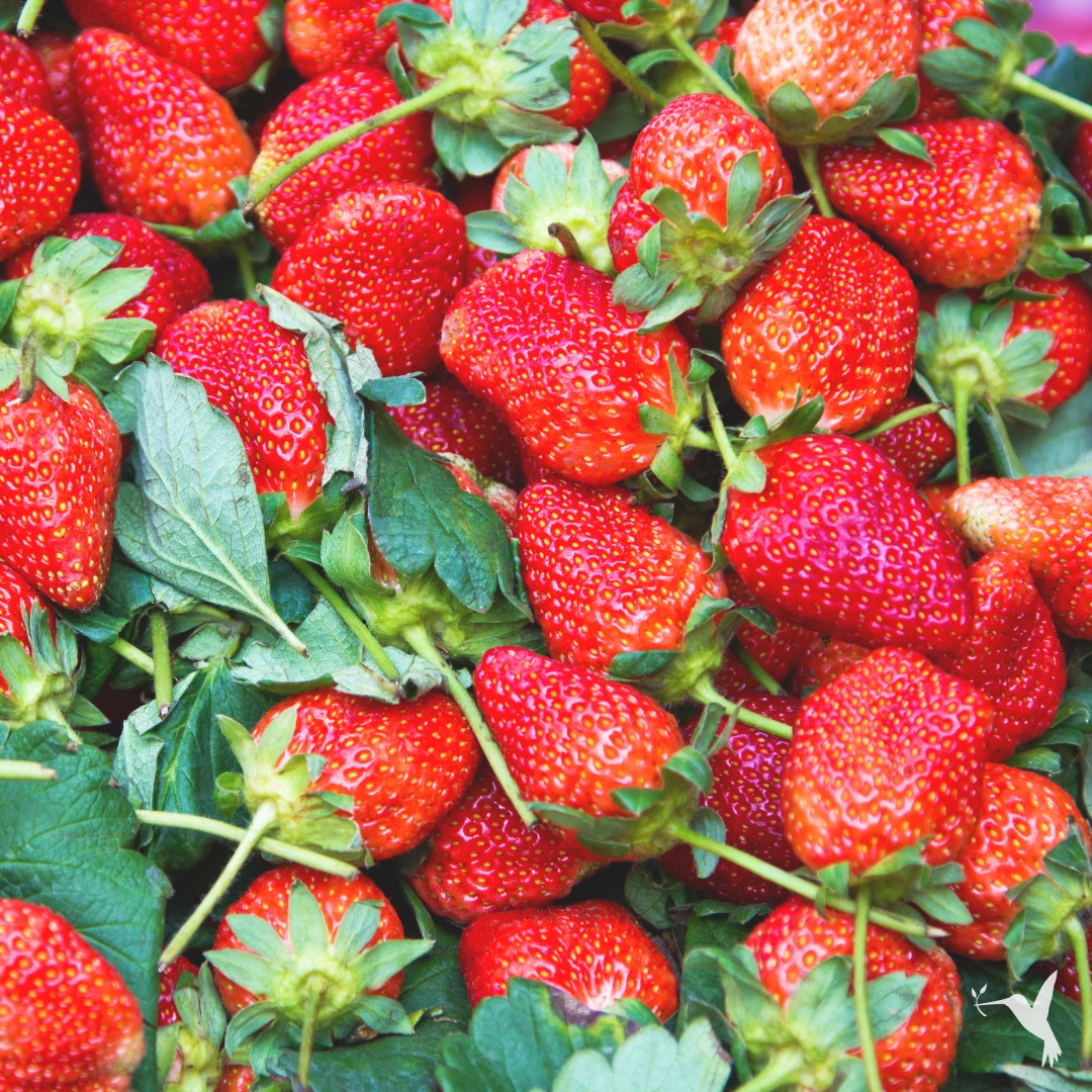 The Dirty Dozen: 12 Foods You Should Buy Organic - Producers Stories