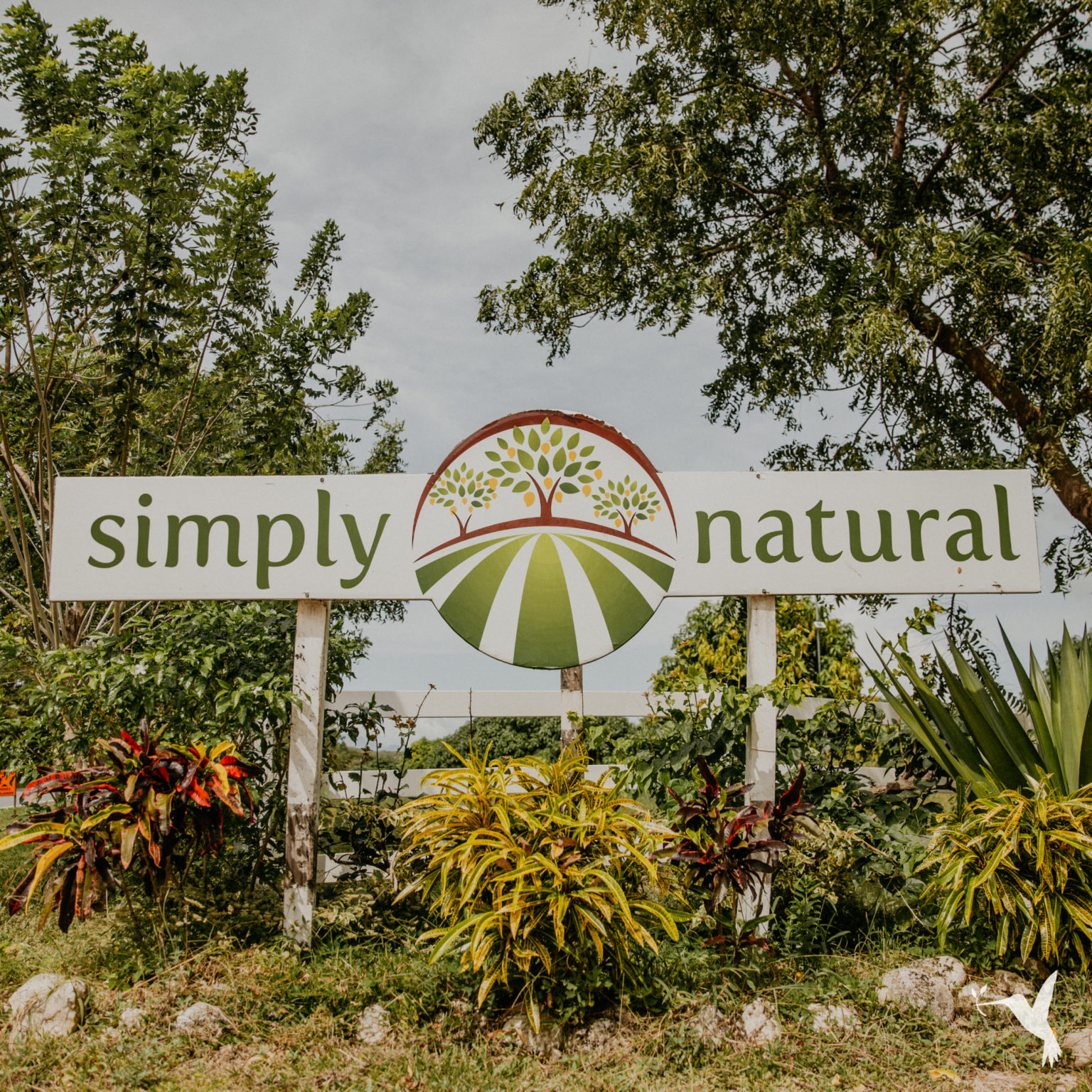 Producers Spotlight: Simply Natural Farms - Producers Stories