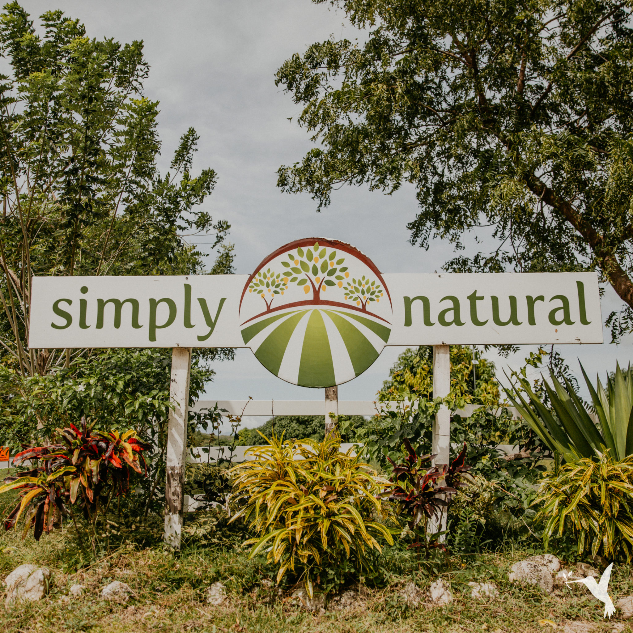 Producers Spotlight: Simply Natural Farms - Producers Stories