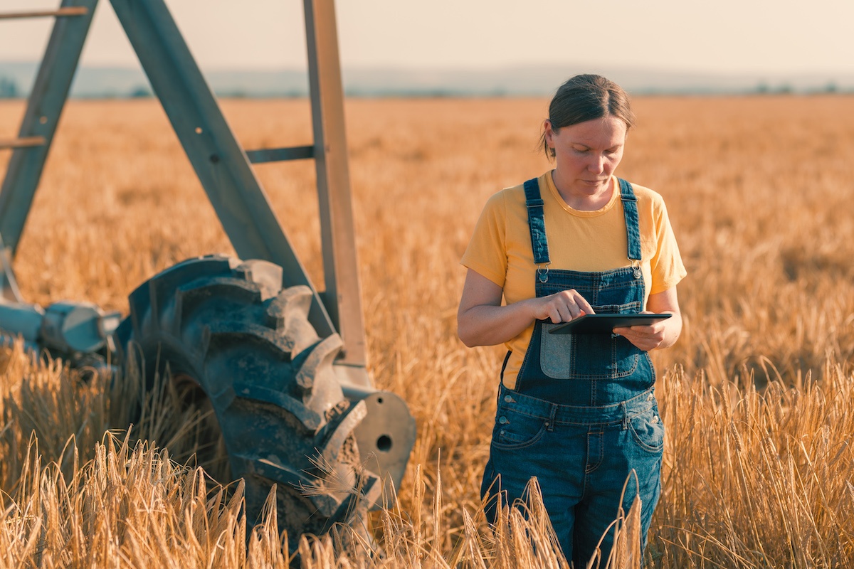 Producers Market & A Post-Great Lockdown World - Producers Stories