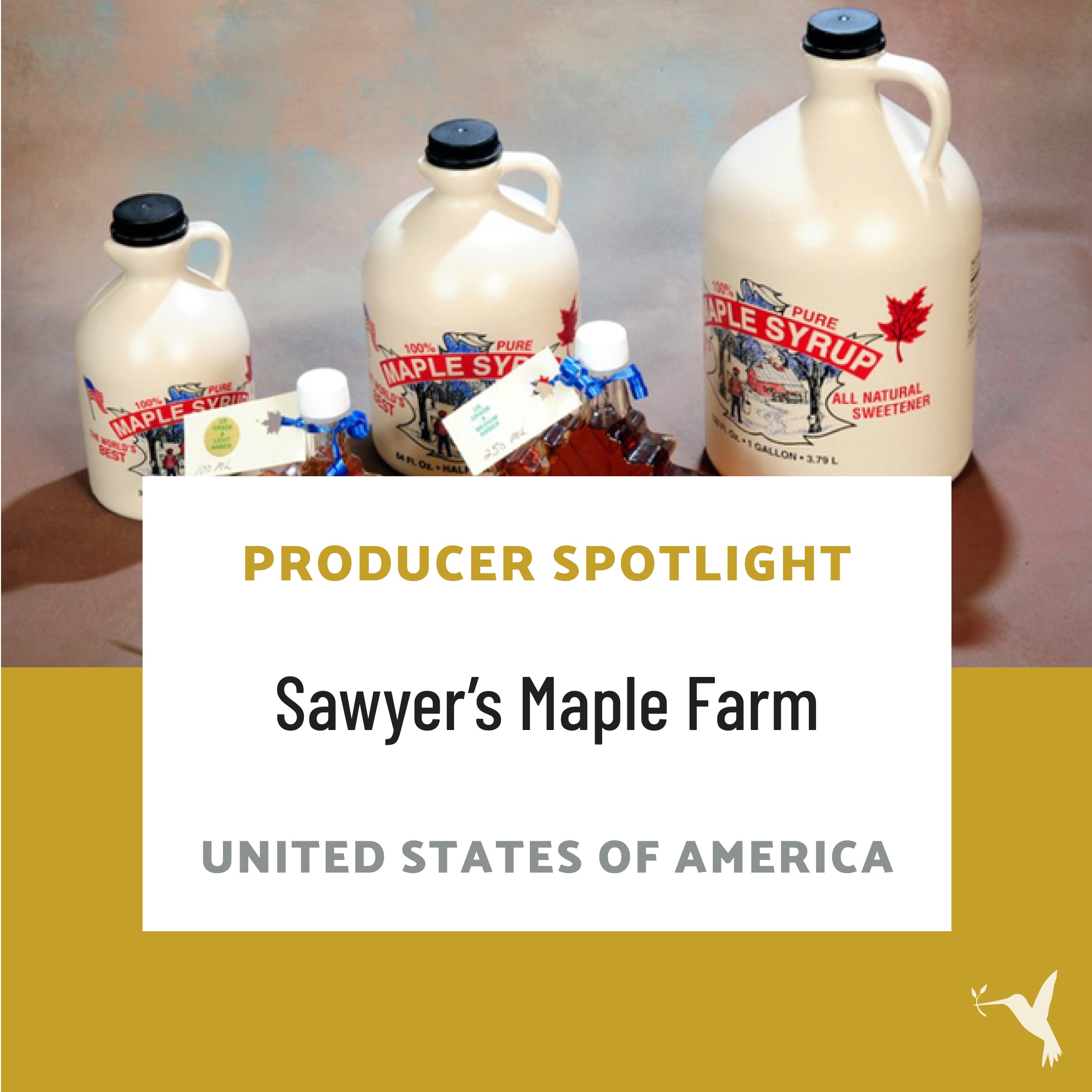 Producer Spotlight: Sawyer’s Organic Maple Farm - Producers Stories
