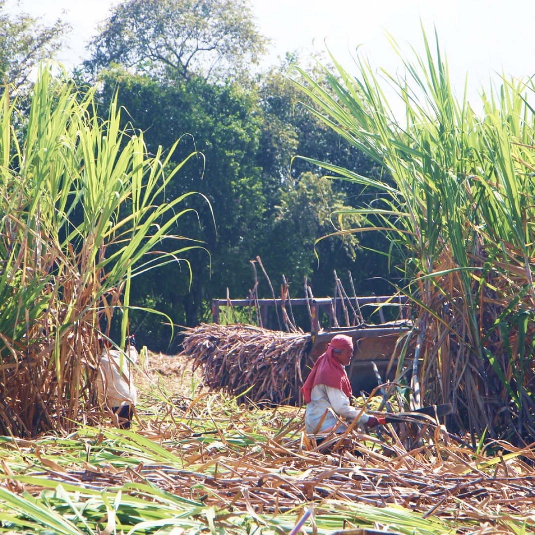 Producer Spotlight: Trapiche Lucerna - Producers Stories