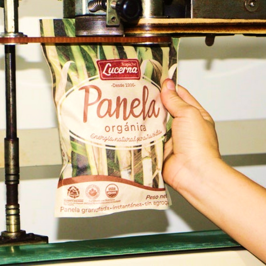 Producer Spotlight: Trapiche Lucerna - Producers Stories