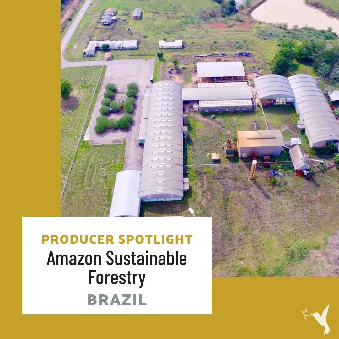 Producer Spotlight: Amazon Sustainable Forestry in Brazil - Producers ...