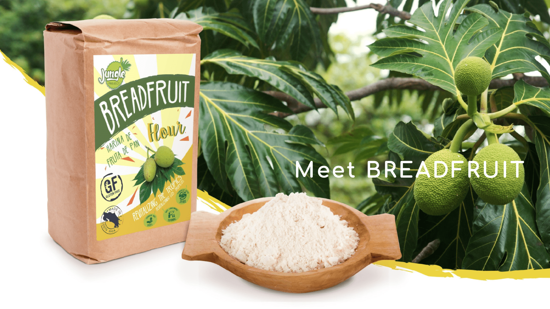 Tropical Forestry Crops - Producers Stories
