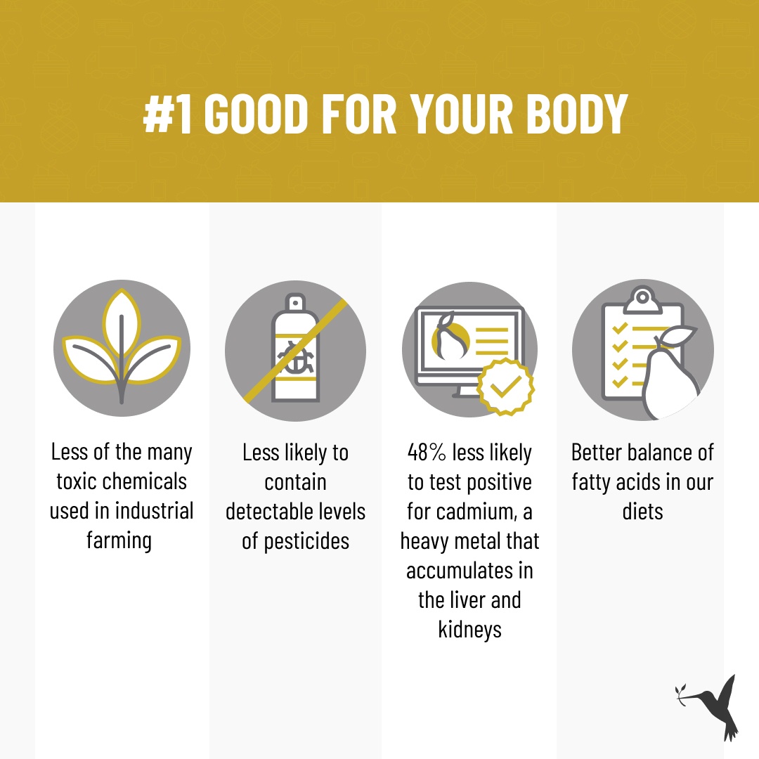 2 Crucial Benefits of Eating Organic - Producers Stories