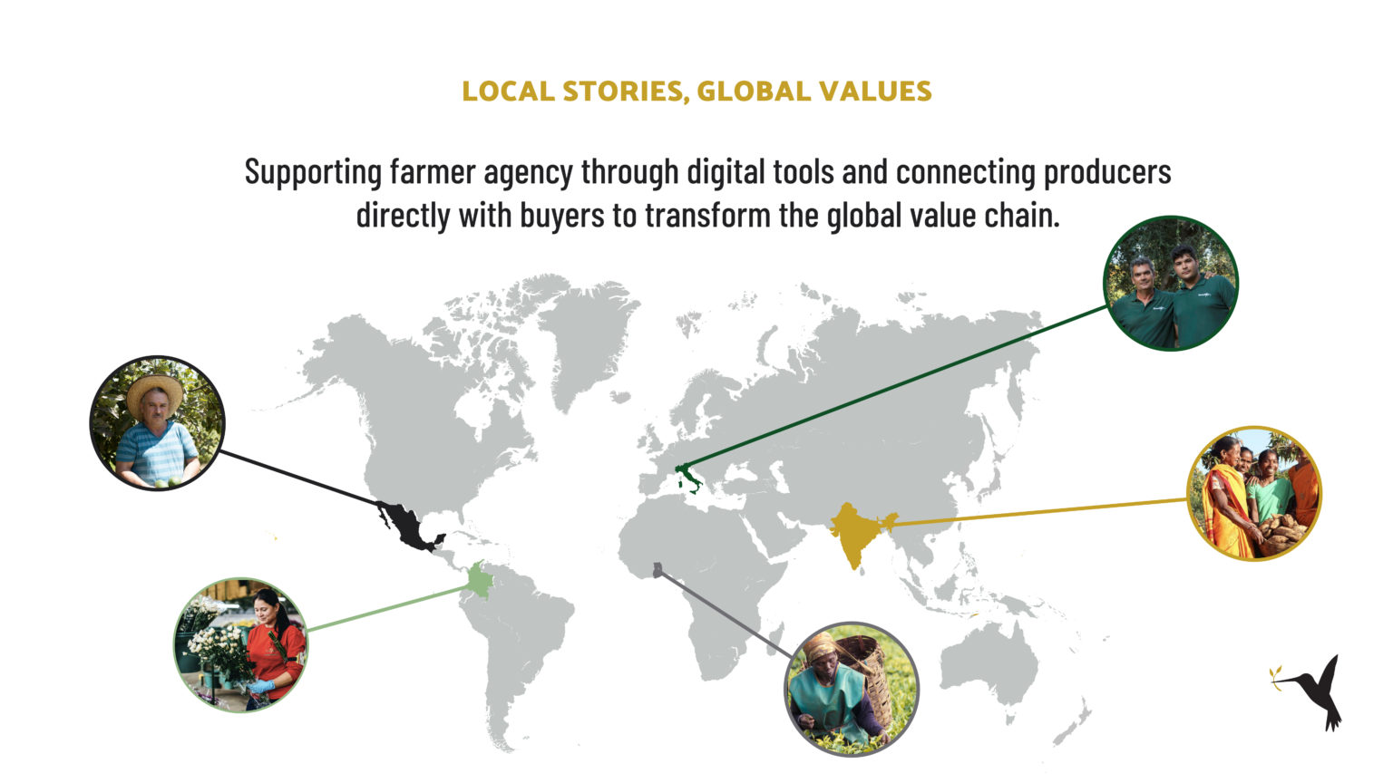 How & Why to Buy Local - Producers Stories