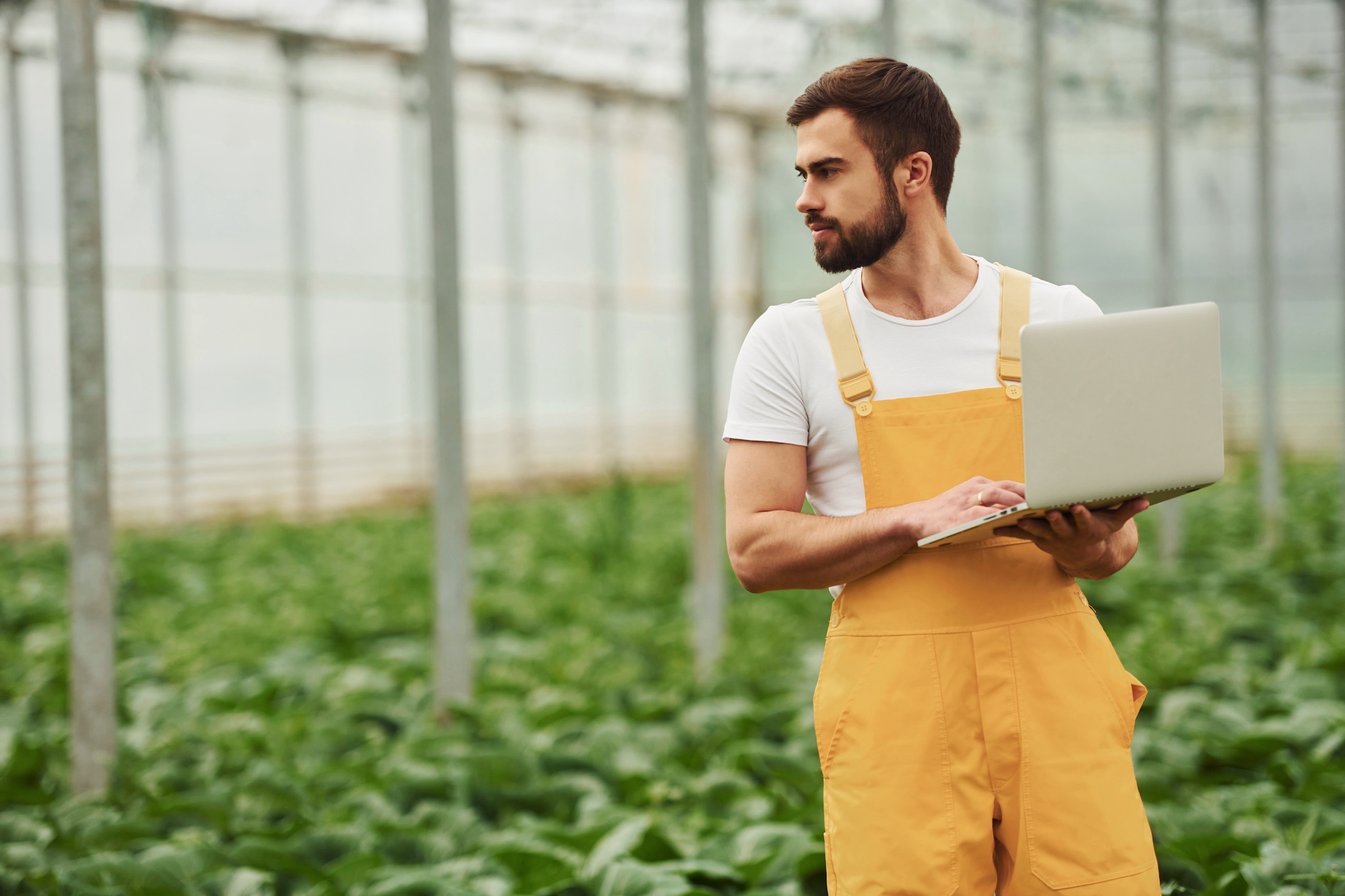 Marketing Storytelling for Farmers & Food Brands - Producers Stories