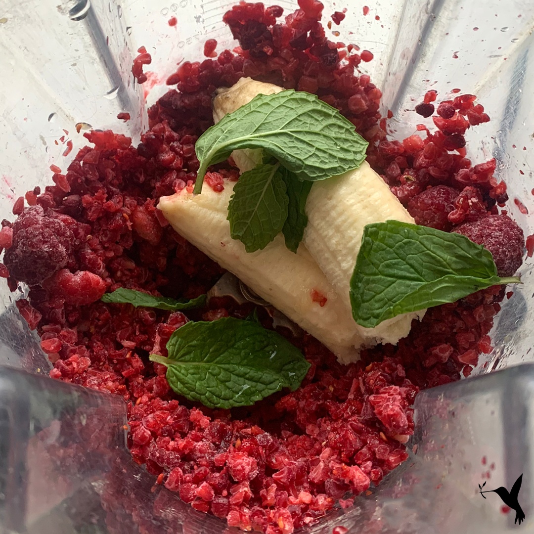 Raw Vegan Raspberry-Lemon Sorbet Recipe - Producers Stories