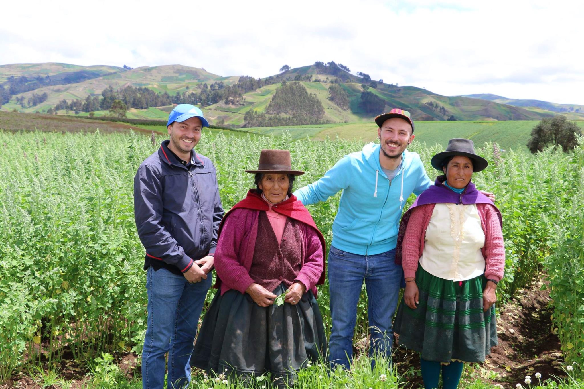 Certifications Bring Quinoa Farming to a New Level - Producers Stories