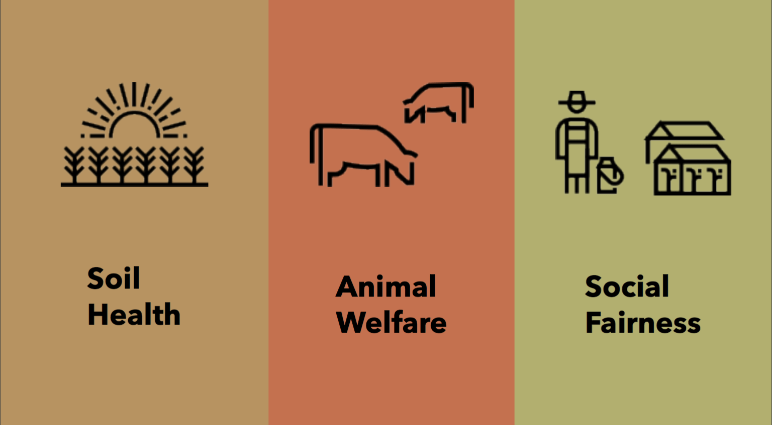 Regenerative Organic Certification: A Level Up - Producers Stories