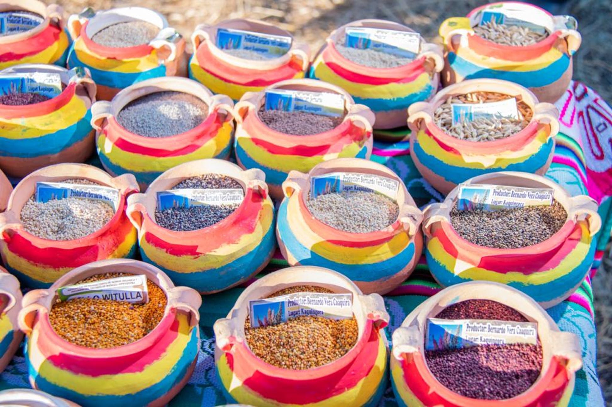 Quinoa: The Majestic Superfood of the Andes - Producers Stories