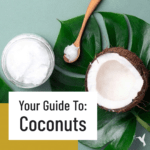 Everything You Need to Know About Coconuts - Producers Stories