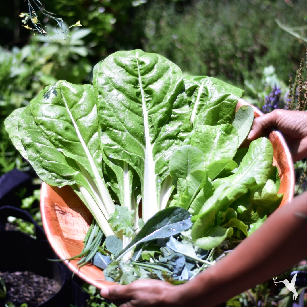 Organic: The Trend That Won’t Quit - Producers Stories