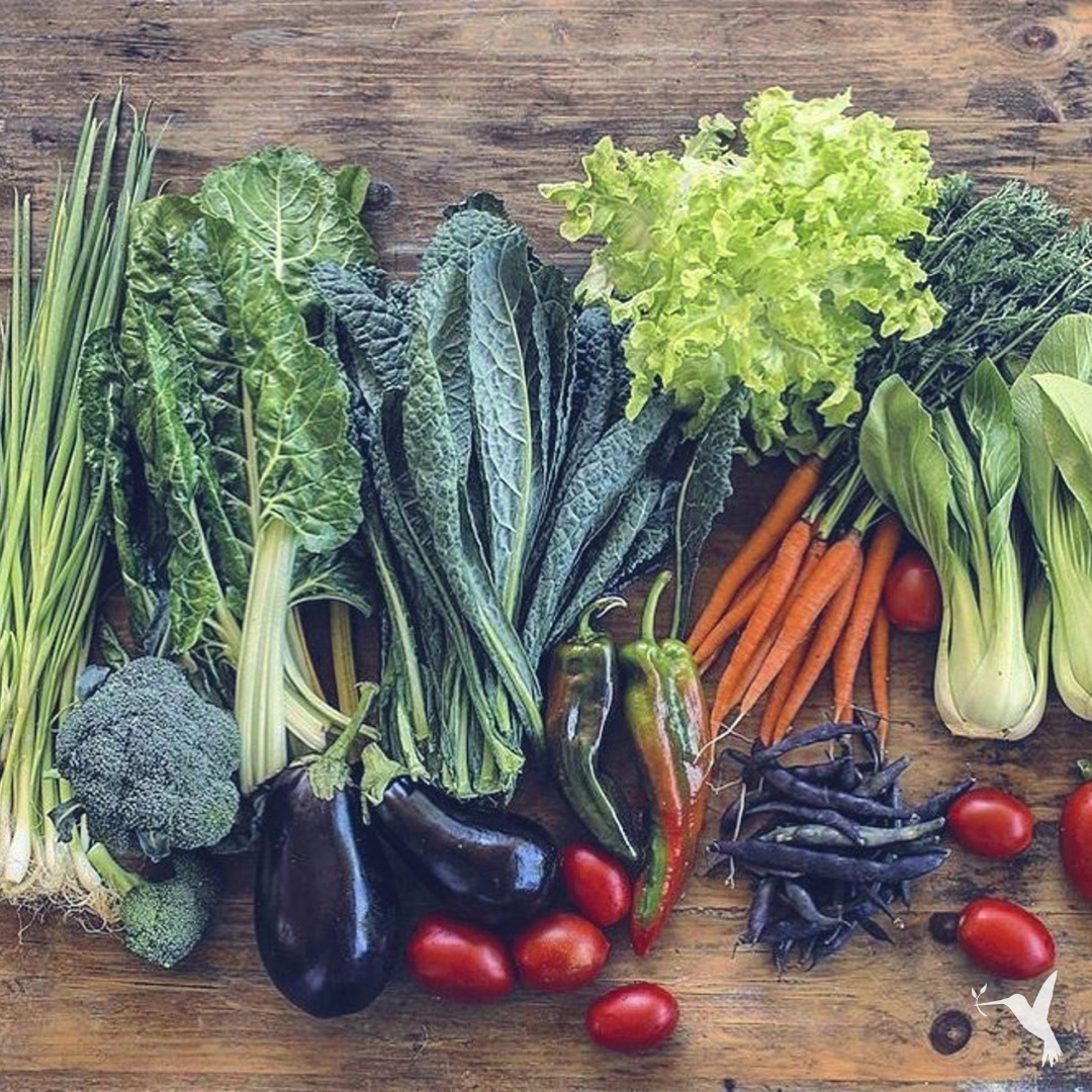 How Organic Farming is Good for Business - Producers Stories