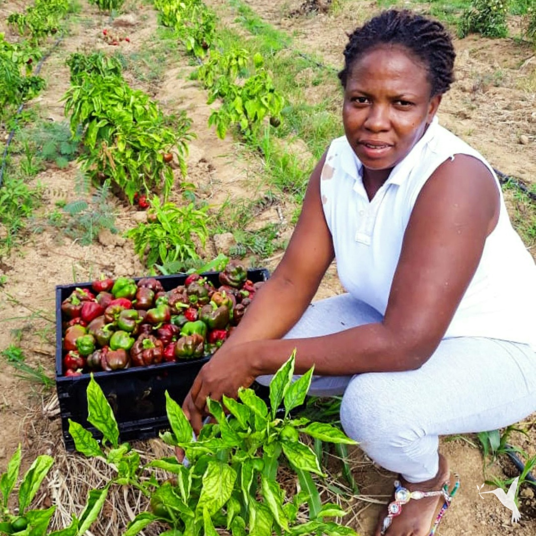 The Faces Behind the Food: Women in Agriculture - Producers Stories