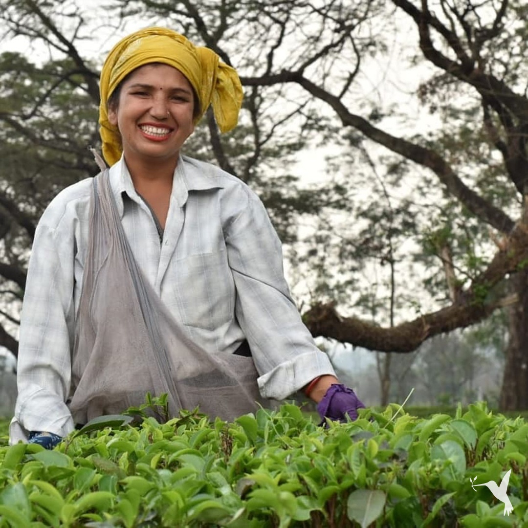 Diwali: Spotlight on India - Producers Stories