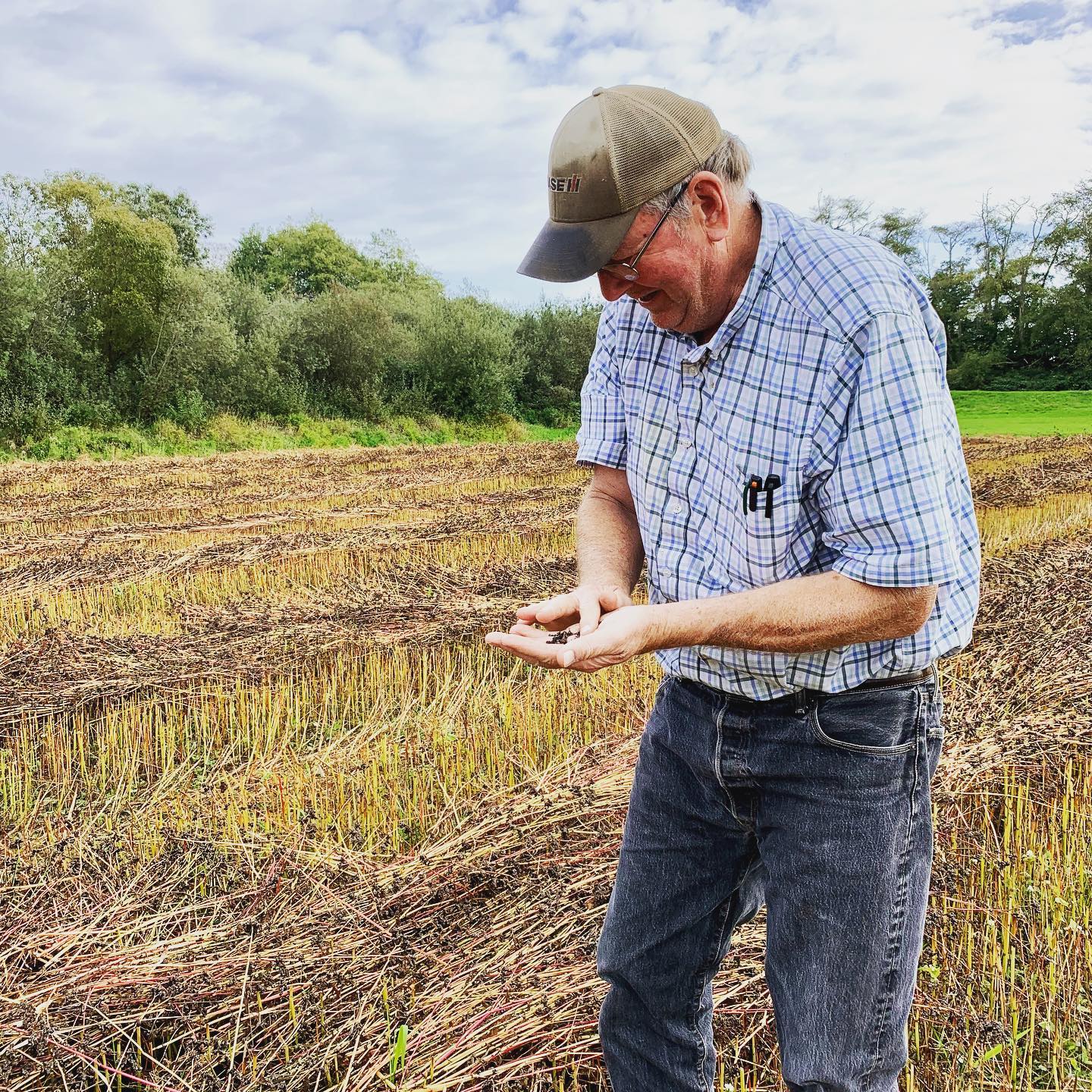 Producer Spotlight: Cairnspring Mills - Producers Stories