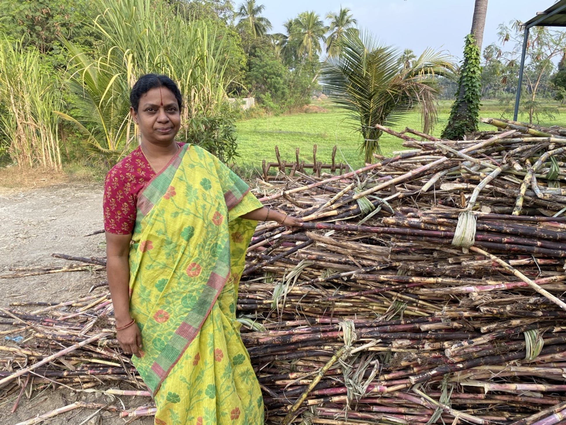 Product Spotlight: Jaggery of Vedic India - Producers Stories