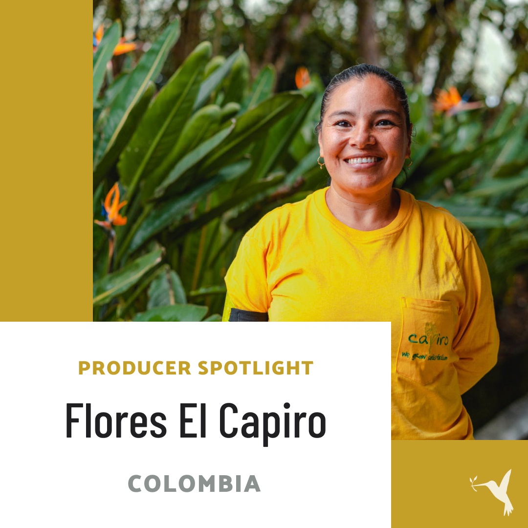 Flores El Capiro: Flowers, Women’s Empowerment, & Community - Producers Stories
