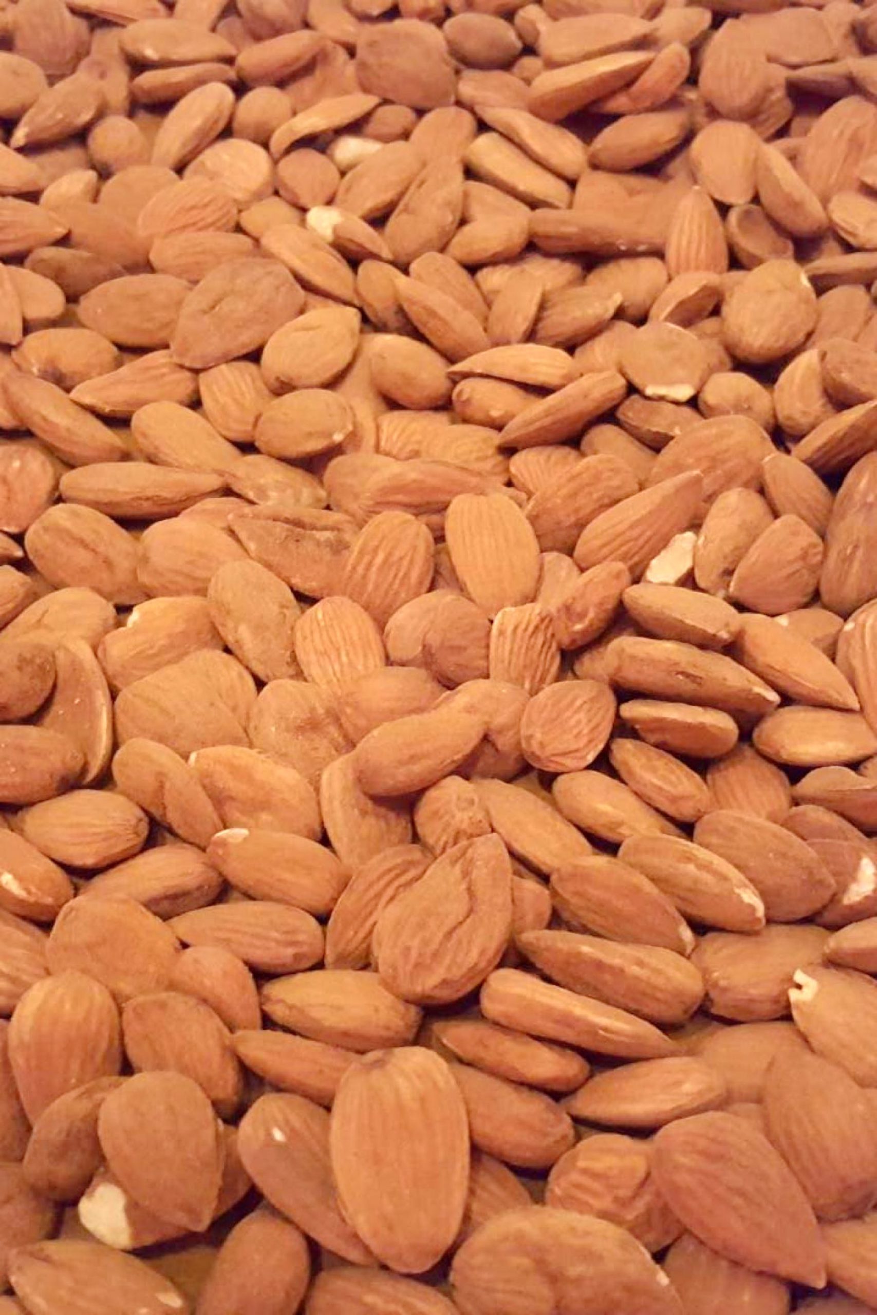 Everything You Need to Know About Almonds - Producers Stories