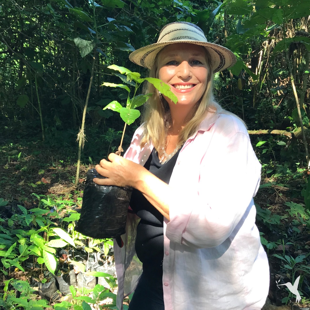 Reforestation Efforts: Regulations, Technologies, & Trees - Producers ...