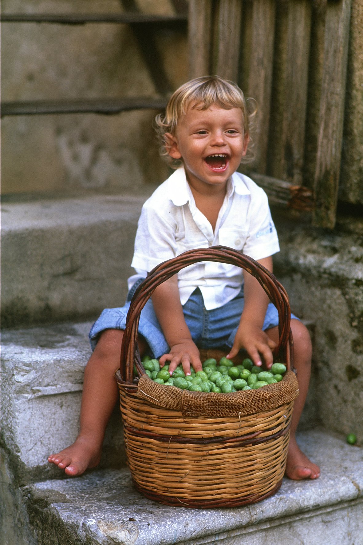 The 4 Benefits of the Farm-to-School Programs For Your Community ...