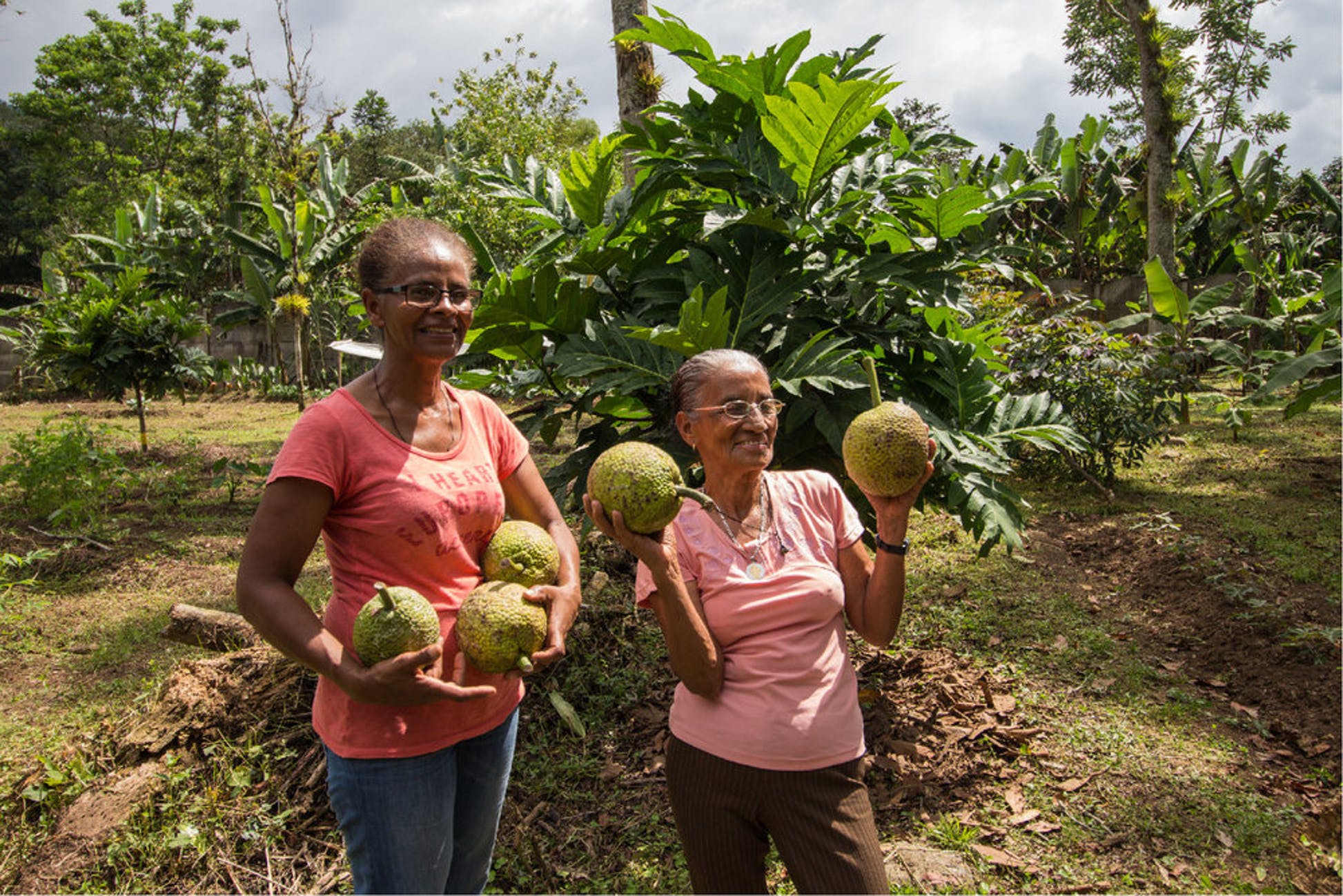 What Is Food Justice? - Producers Stories
