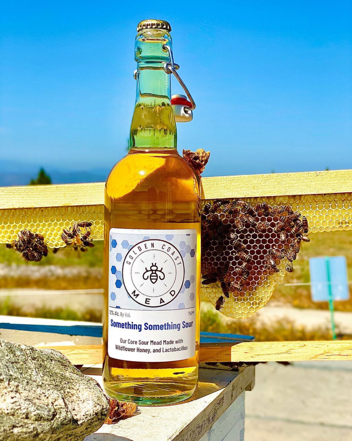 Producer Spotlight: Golden Coast Mead - Producers Stories