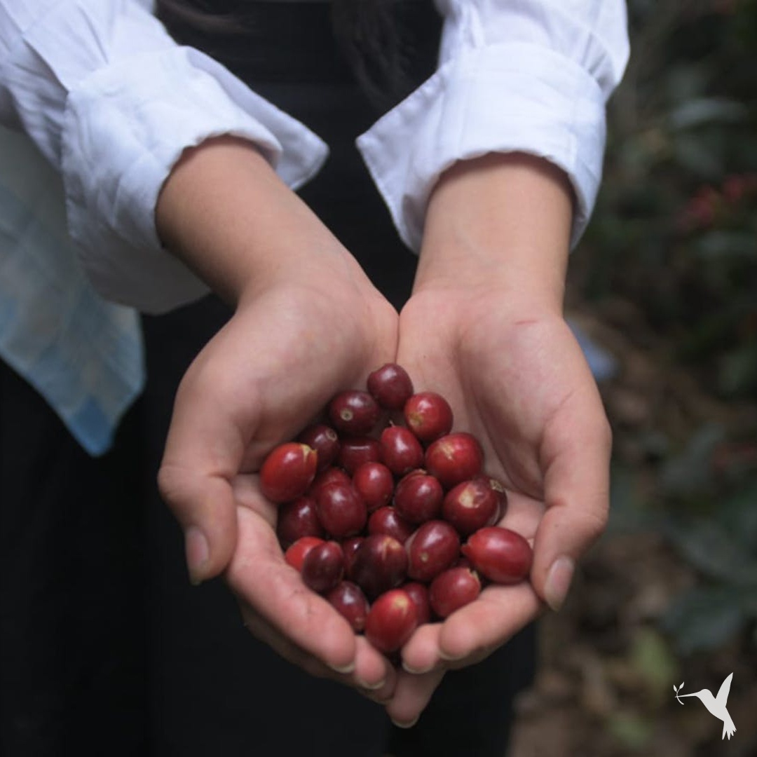 What Is End-to-end Traceability? - Producers Stories
