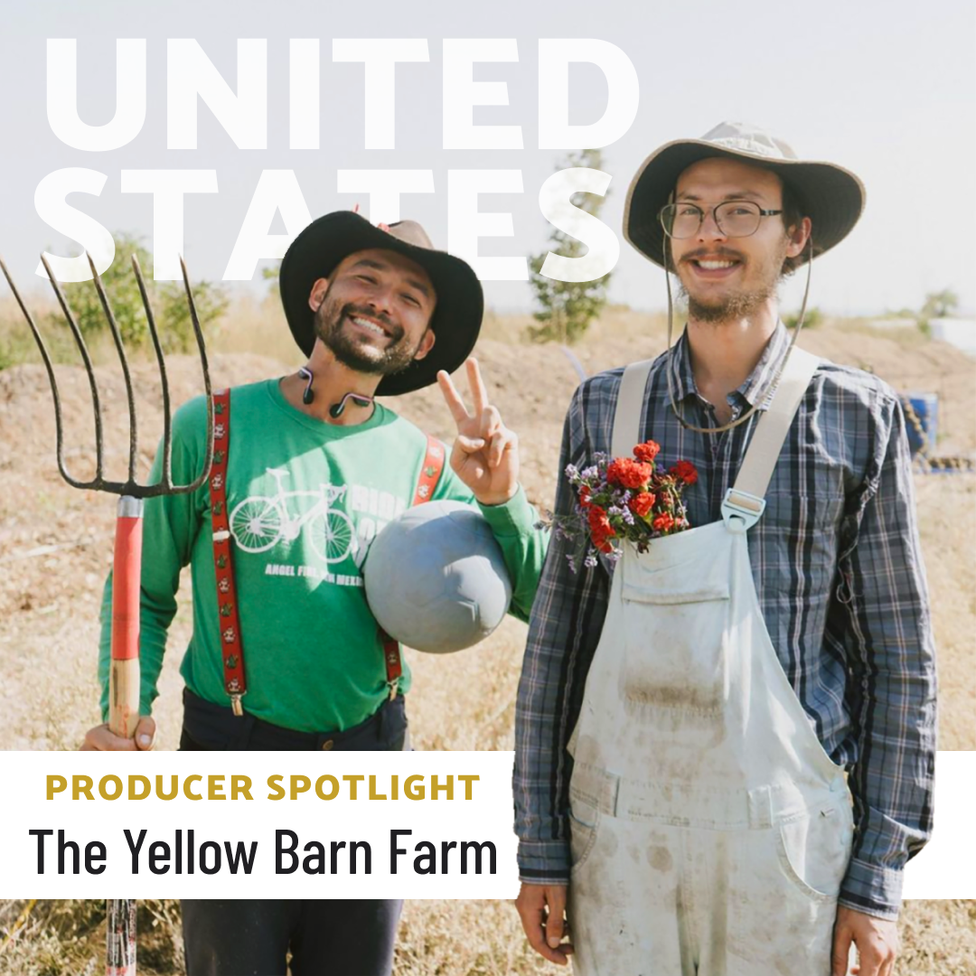 Producer Spotlight: The Yellow Barn Farm - Producers Stories
