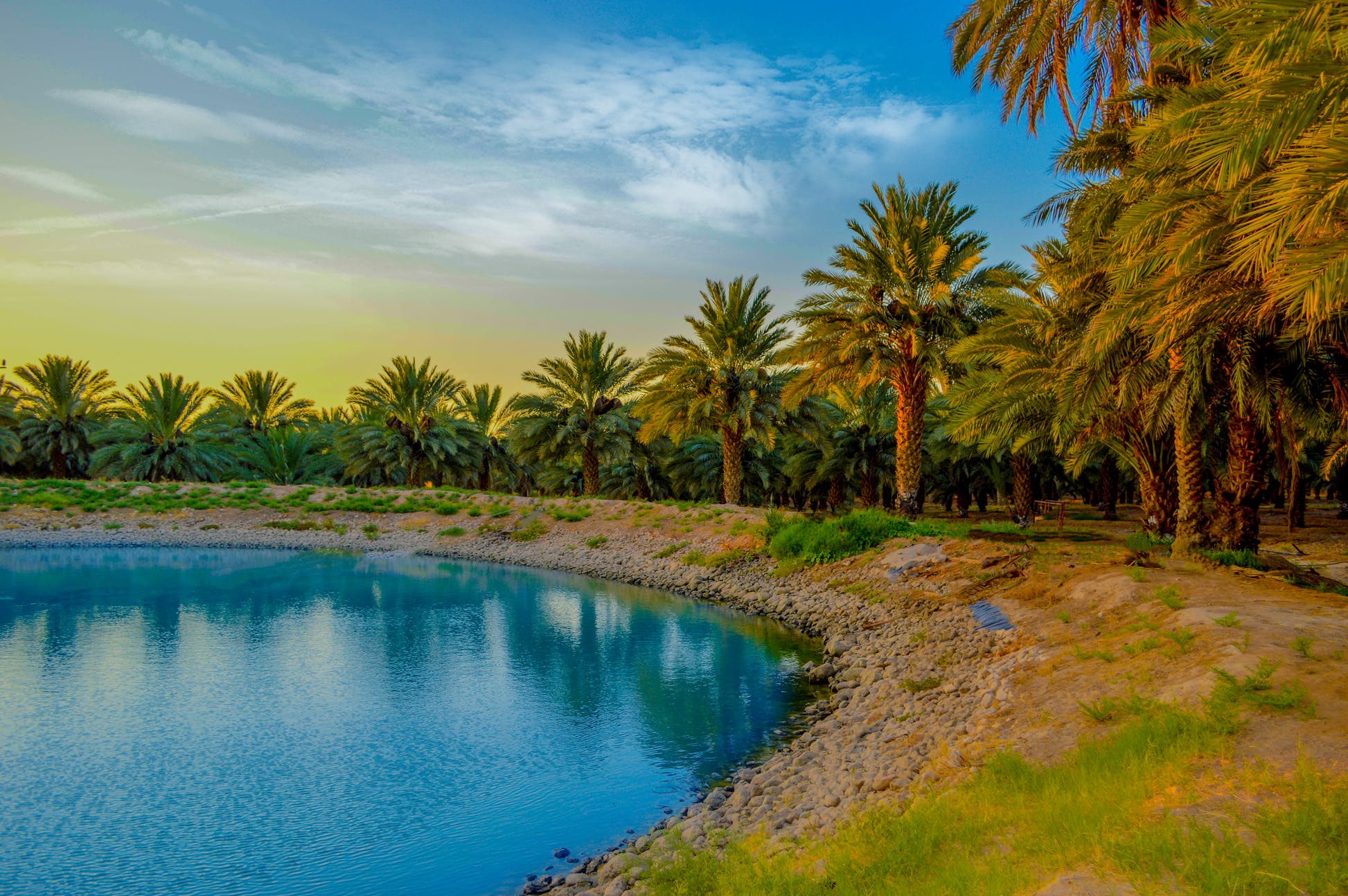 How to Use Dates: Everything You Need To Know - Producers Stories