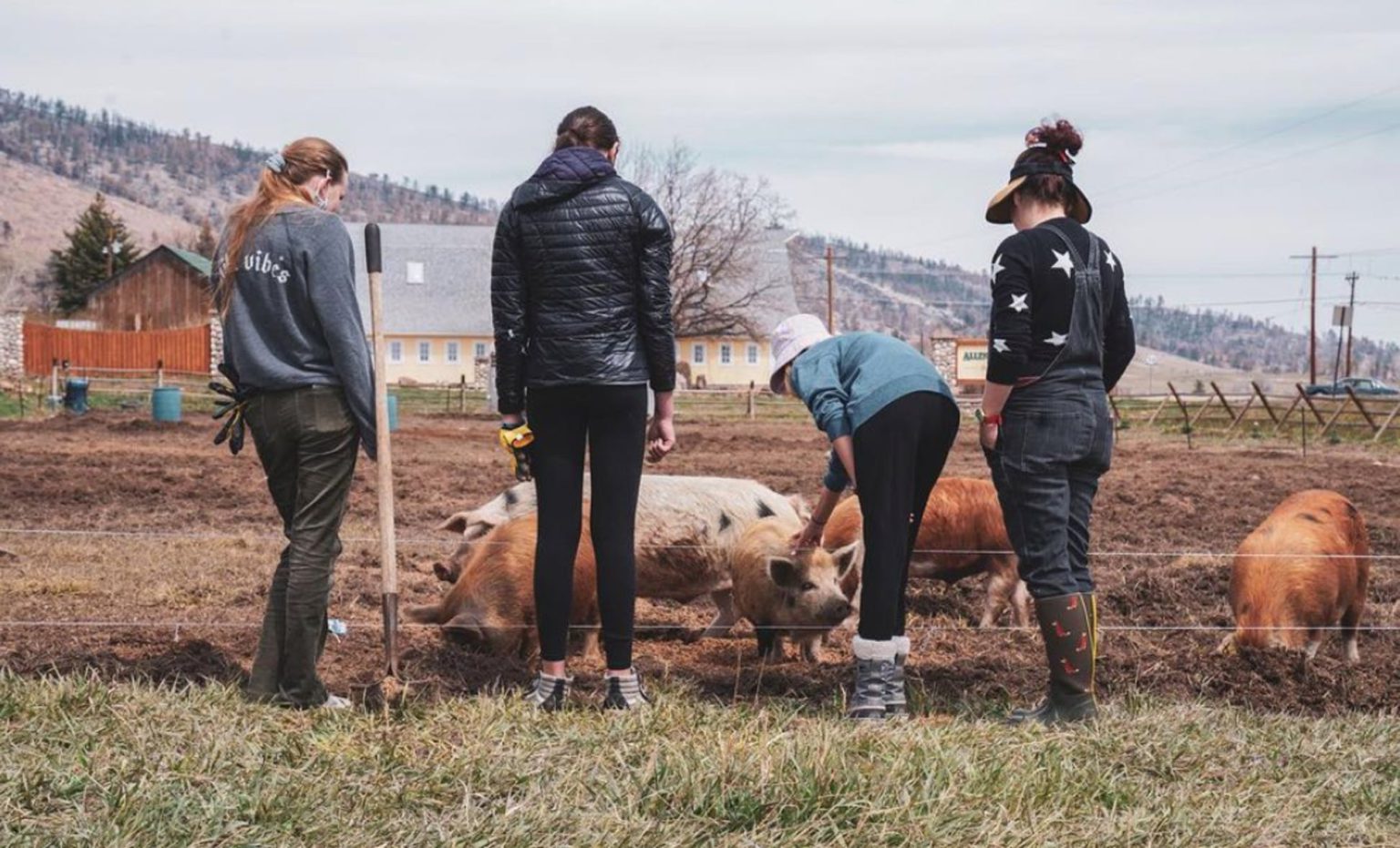 Producer Spotlight: The Yellow Barn Farm - Producers Stories