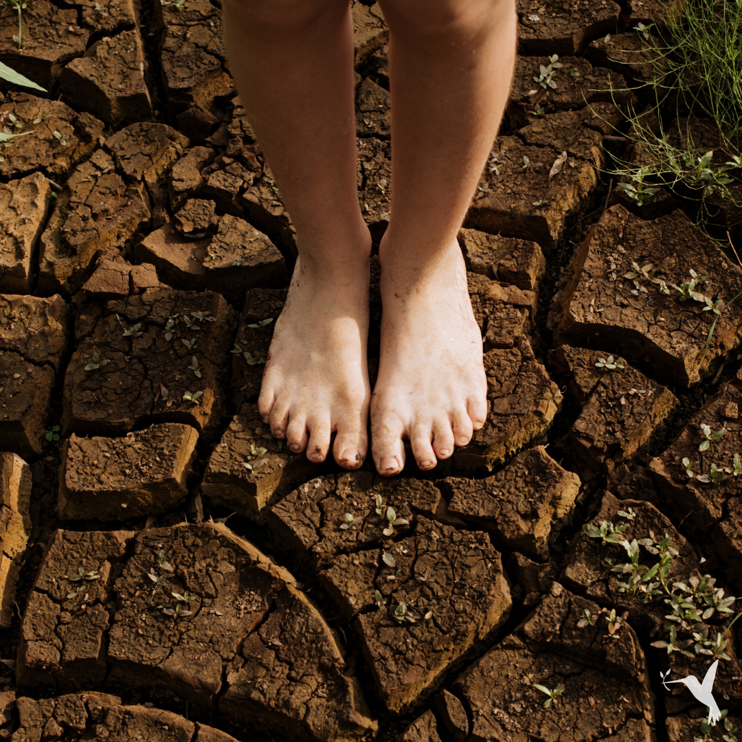 The Importance of Water Harvesting - Producers Stories