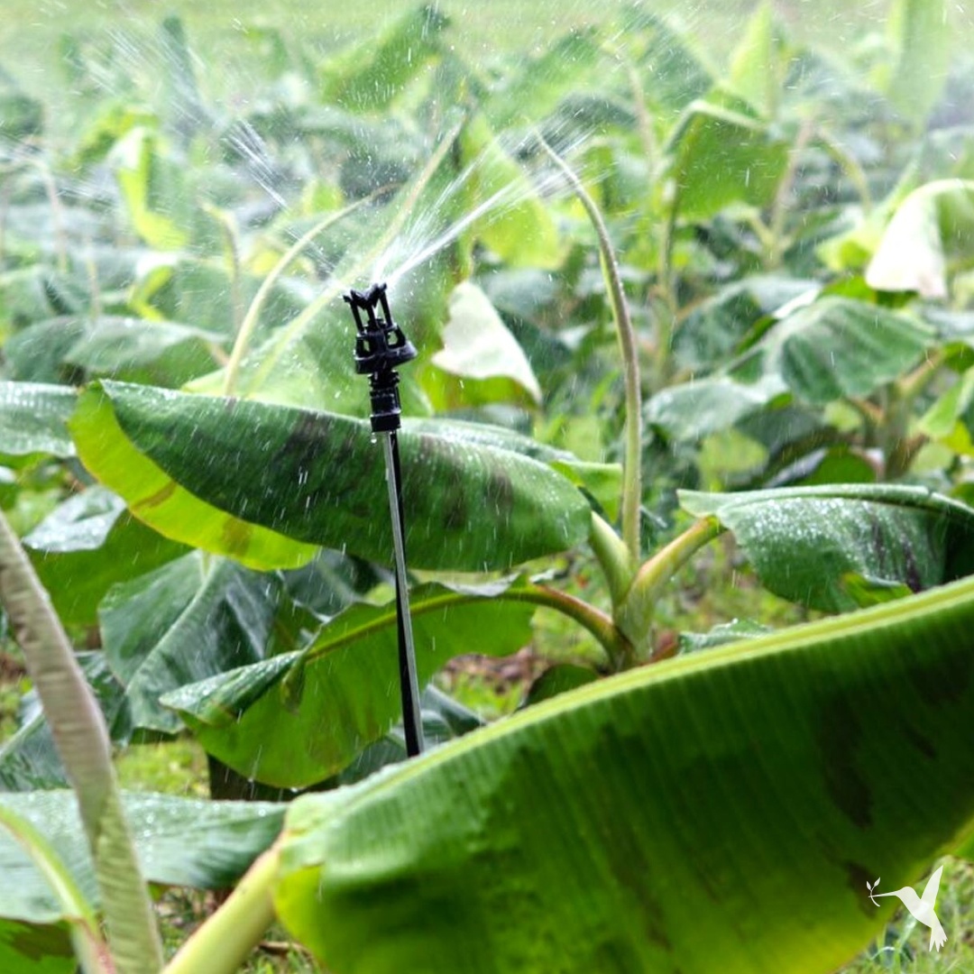 The Importance of Water Harvesting - Producers Stories