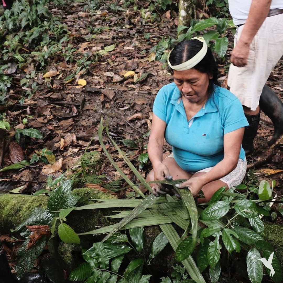 Decolonizing Agriculture & Our Understanding of Biodiversity ...