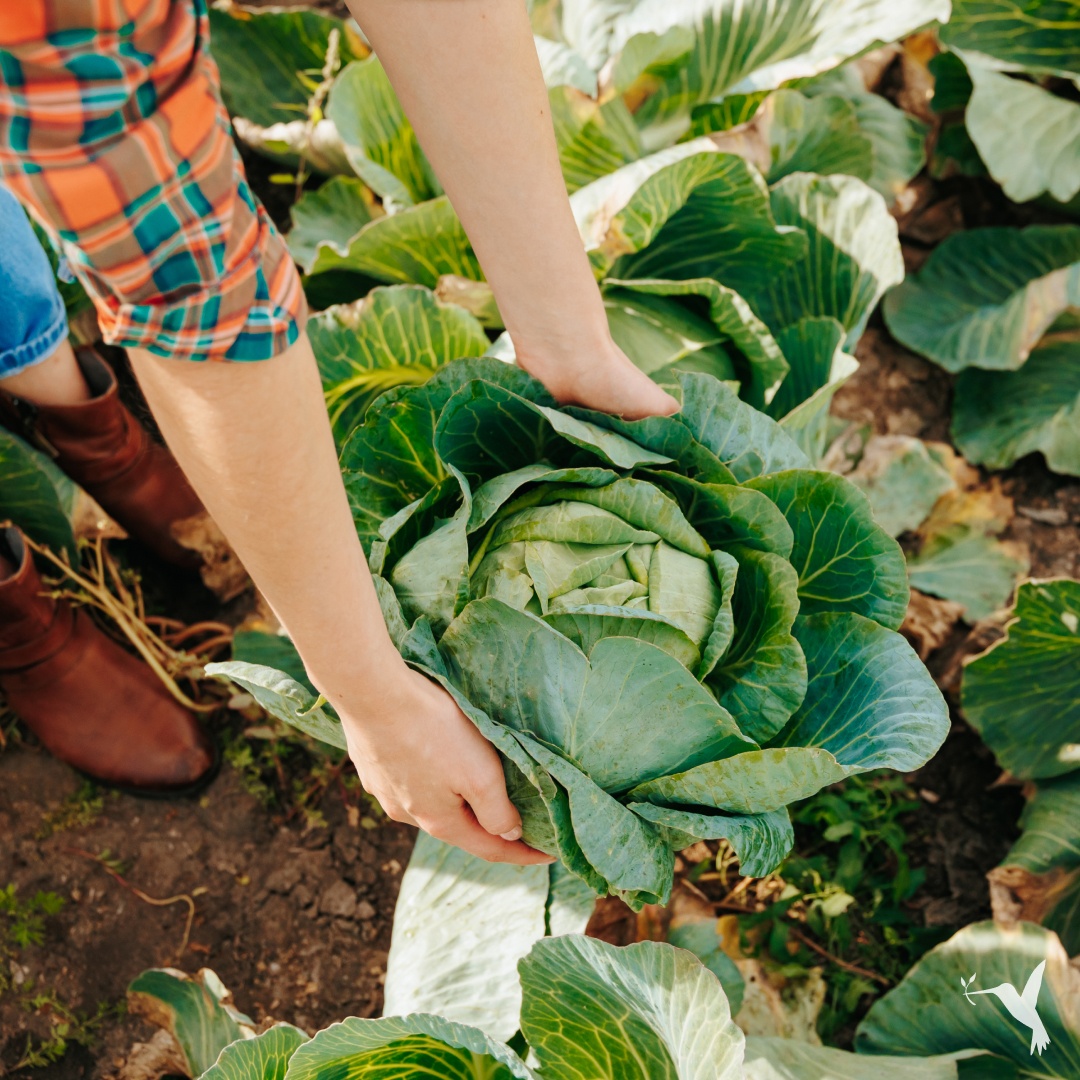 How You Can Support the Movement Towards Global Food Security ...