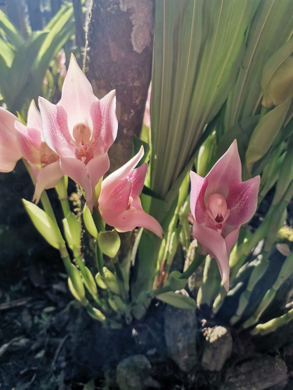 Conservation & Biodiversity Efforts in Peru - Producers Stories