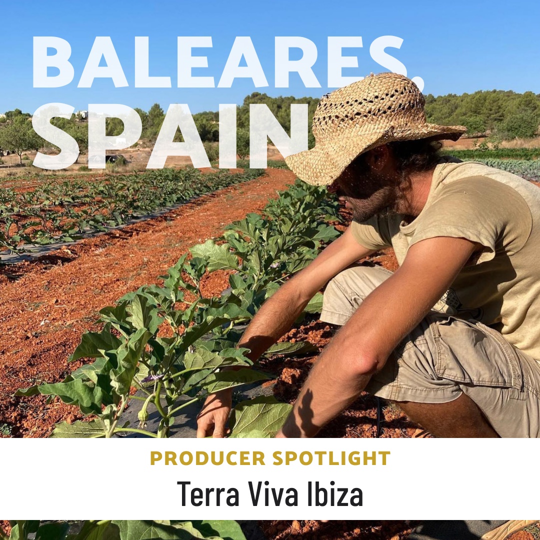 Producer Spotlight: Terra Viva Ibiza - Producers Stories